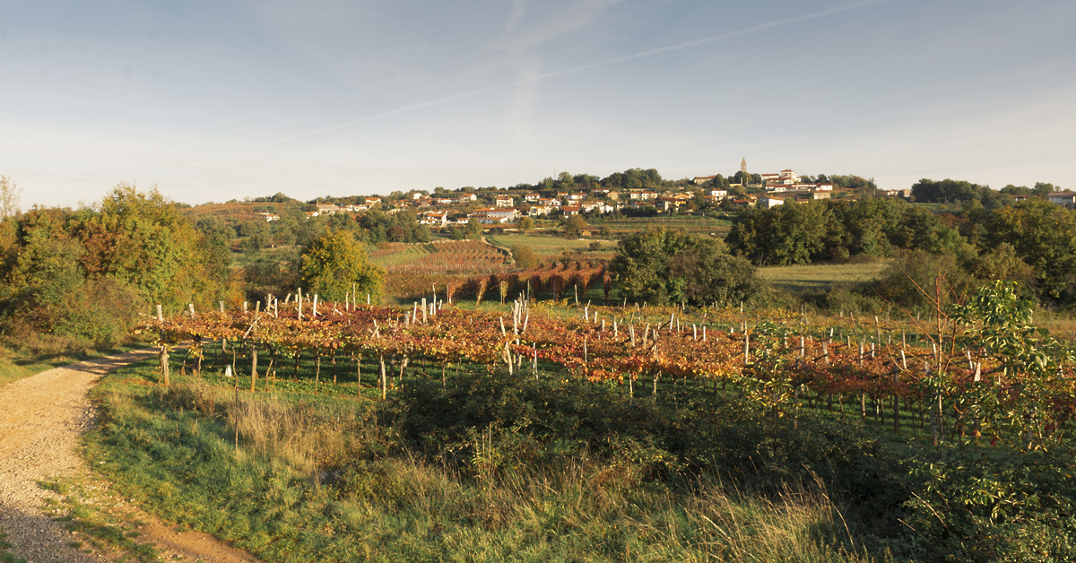 Tomaj | Turistična kmetija Škerlj